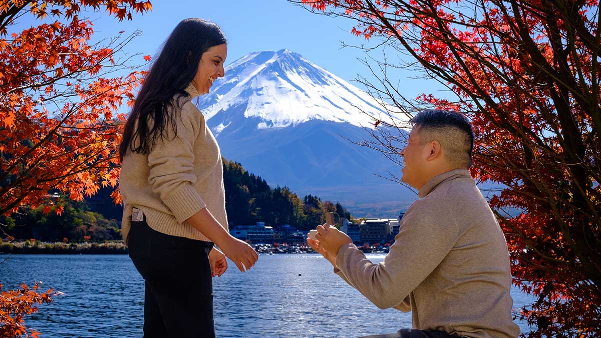Gallery | Proposal Ninja